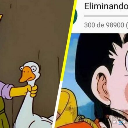 "Loro aprende a decir": El nuevo MEME que está inundando las redes ...